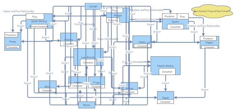 Clone of Clone of Amazon RainForest food web | Insight Maker