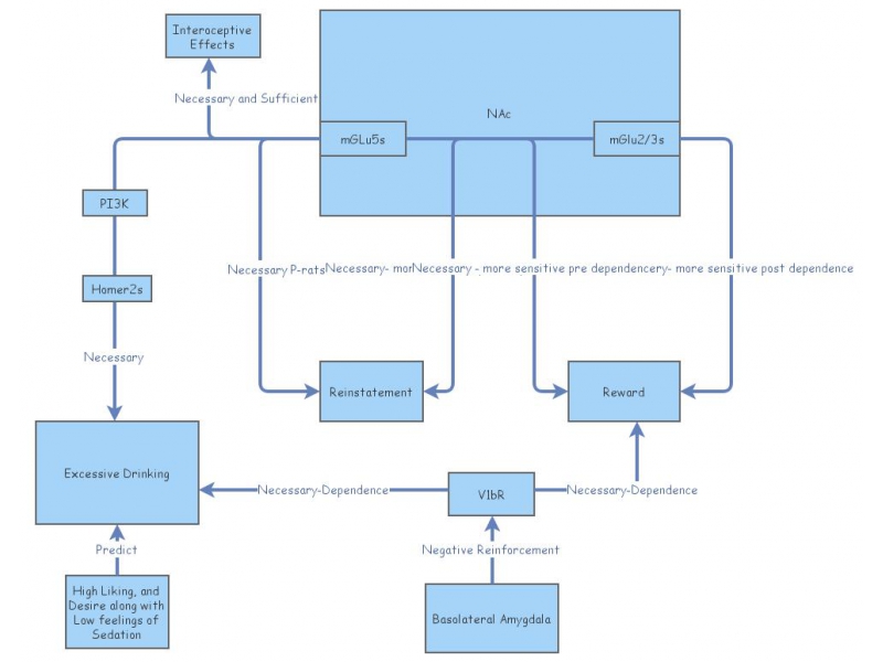 EtOH Concept Map | Insight Maker