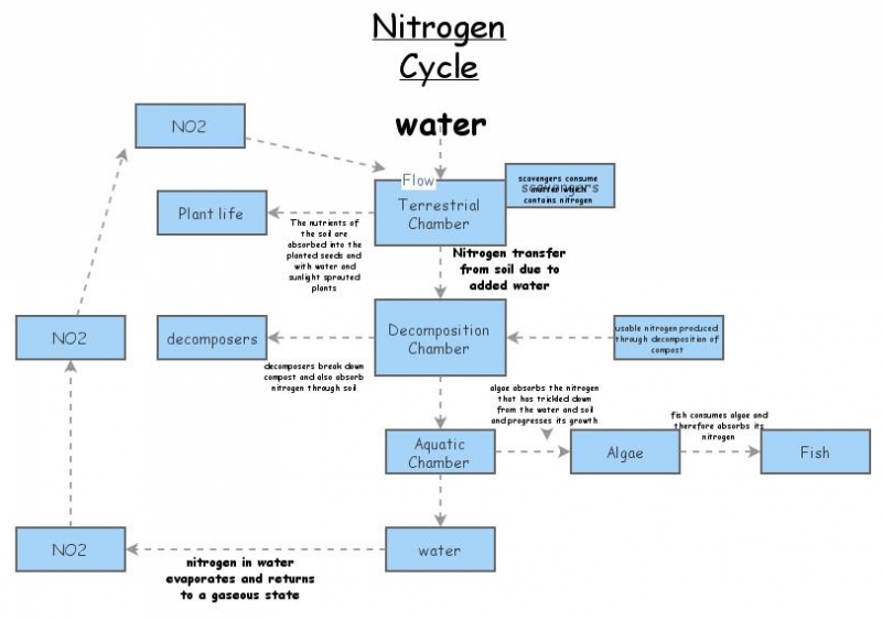 Nitrogen Cycle | Insight Maker