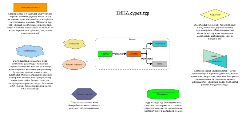 Madina work | Insight Maker