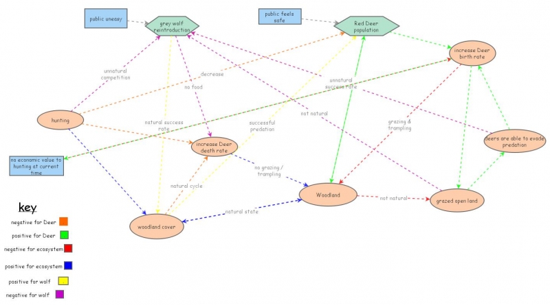 wolf reintroduction | Insight Maker