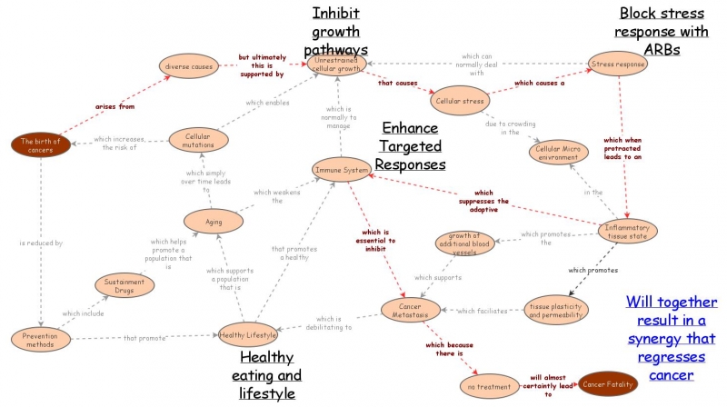 Understanding Cancer | Insight Maker