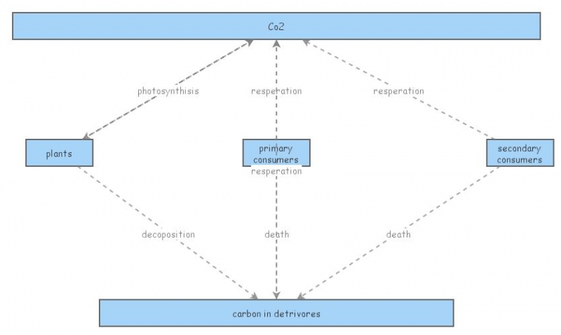 carbon cycle | Insight Maker
