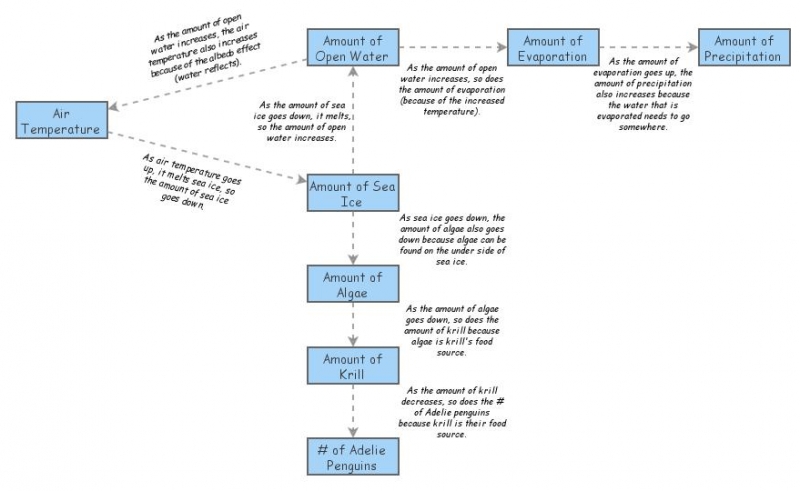 Adelie Penguins Flow Chart | Insight Maker