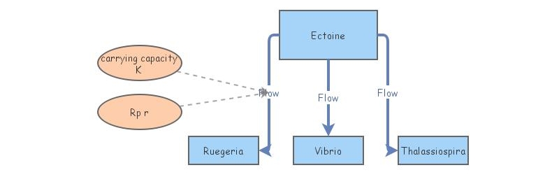 Bacterial logistic growth | Insight Maker