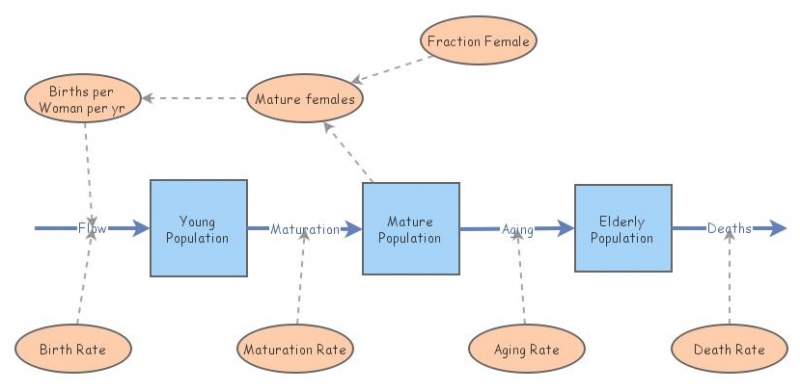 Population | Insight Maker