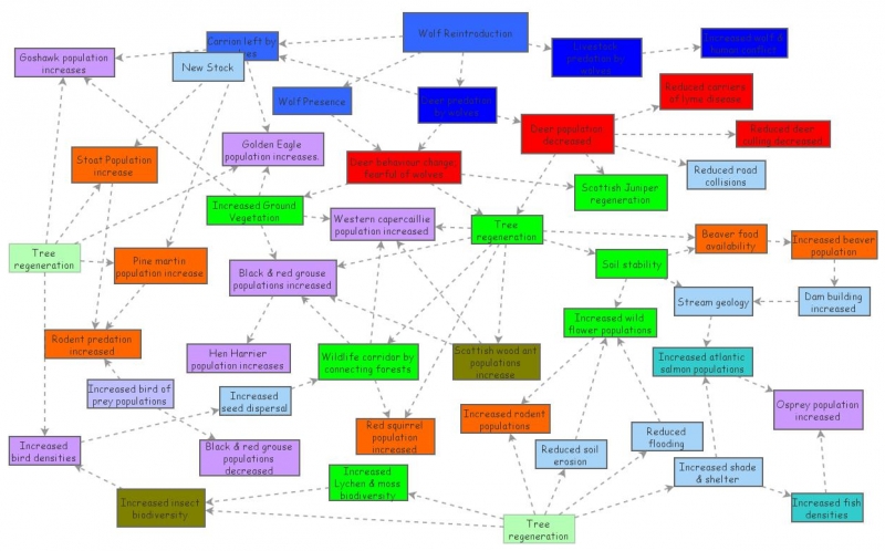Model for ecosystems | Insight Maker