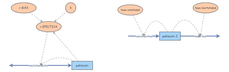 ejercicio_práctica_modelos_poblaciones | Insight Maker