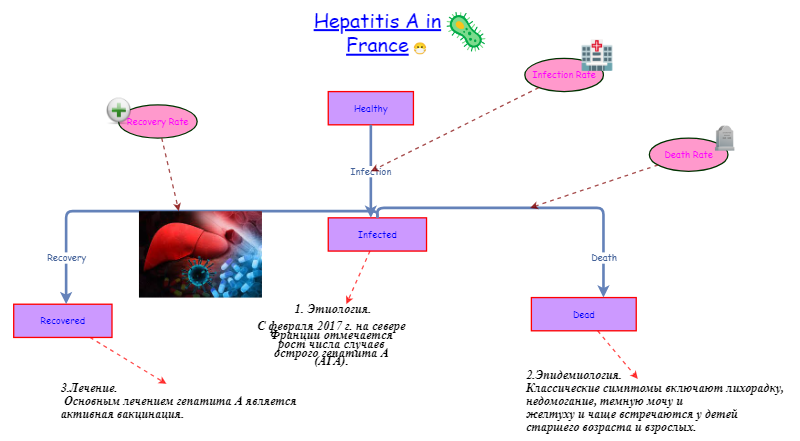 My Insight | Insight Maker
