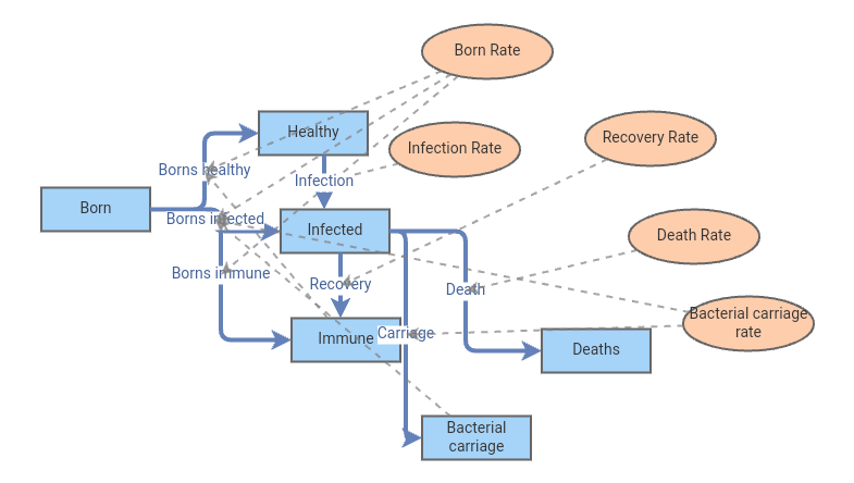 Control work | Insight Maker