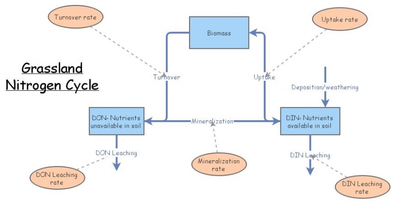 Grassland: Nitrogen Cycle Model | Insight Maker