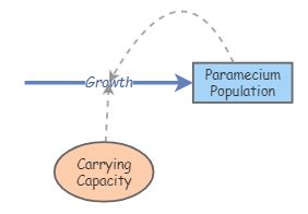 TPS 1.1_Paramecium | Insight Maker