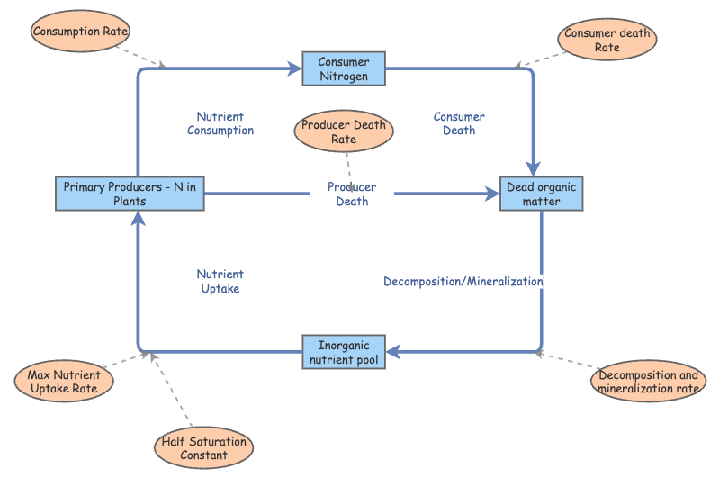 N cycle model | Insight Maker