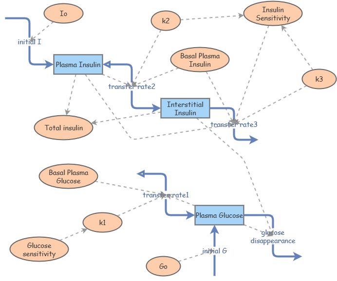 Clone of Glucose minimal model | Insight Maker