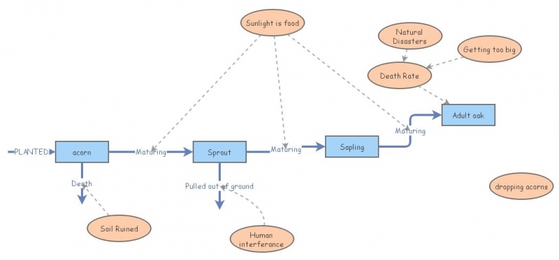 Oak tree Homary | Insight Maker