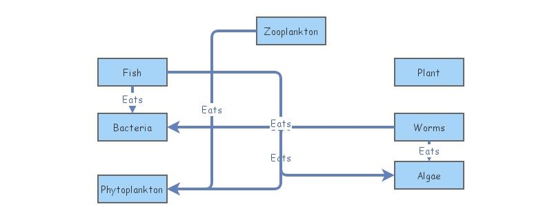 Food Web Bio | Insight Maker