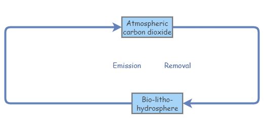 Carbon dioxide system | Insight Maker