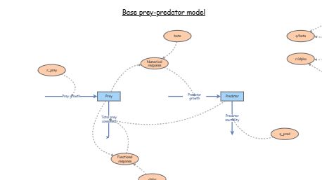 Clone of Base prey predator model | Insight Maker