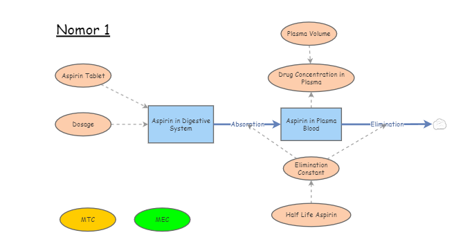 Tugas 2 Two Model Compartment One Dose Aspirin | Insight Maker