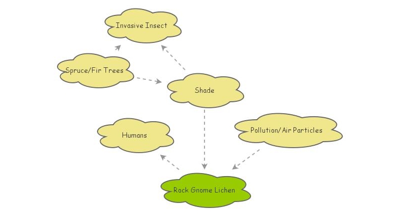 Rock Gnome Lichen Food Chain | Insight Maker
