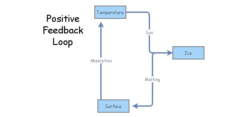 Positive Feedback Loop | Insight Maker