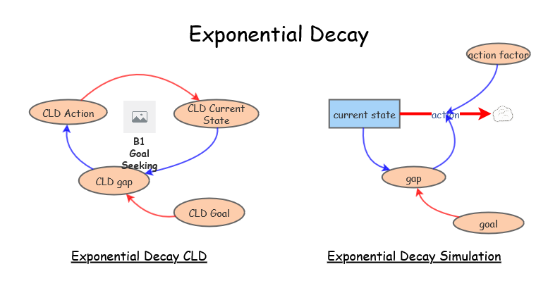 Clone of Exponential Decay | Insight Maker