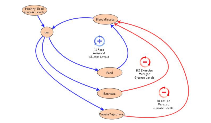Diabetes Management (3 loops) | Insight Maker