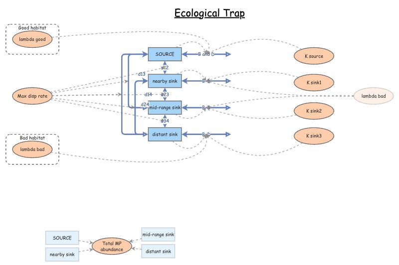 Lecture 12_Ecological Trap | Insight Maker