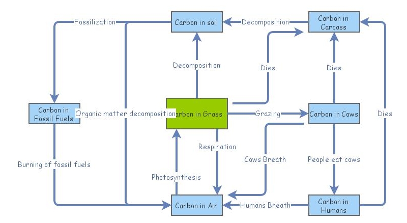 Model of Grass and Carbon Cycle | Insight Maker