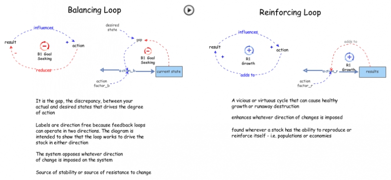 Basic Feedback Loops | Insight Maker
