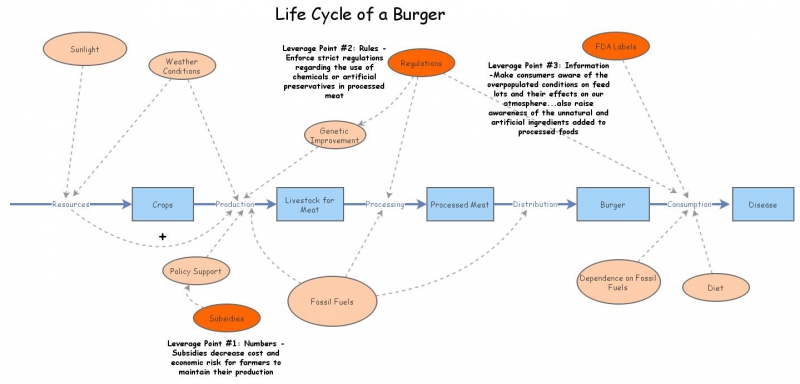 Food System: Burger Life Cycle | Insight Maker