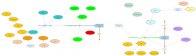 Clone of Clone of Sima_Oyster | Insight Maker