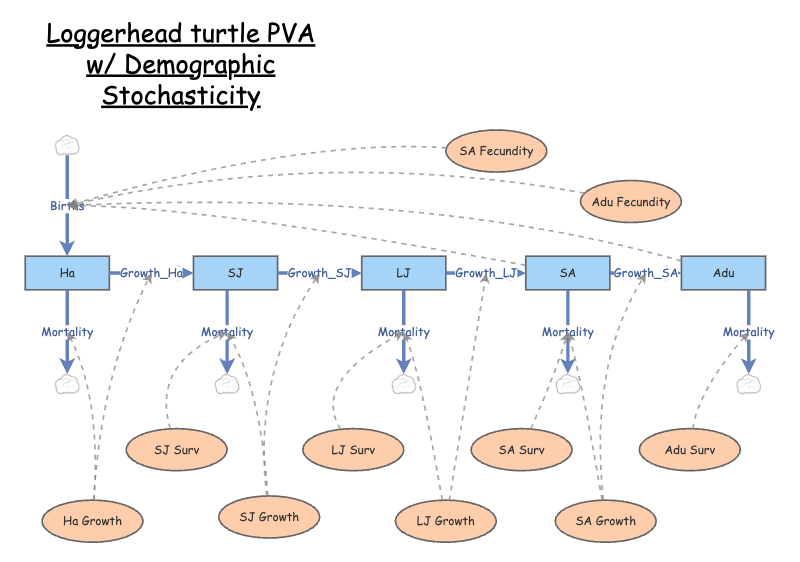 Clone of Loggerhead PVA | Insight Maker