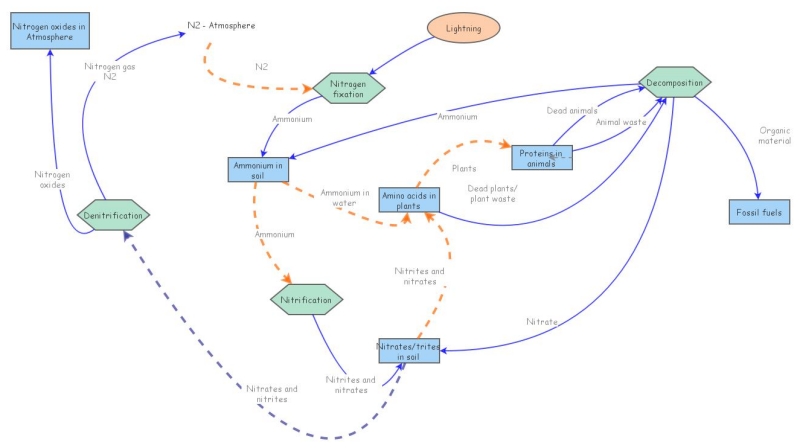 Nitrogen Cycle with images | Insight Maker