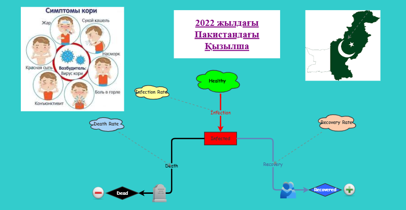 Өзіндік жұмыс 1 (жүйелік динамика) | Insight Maker