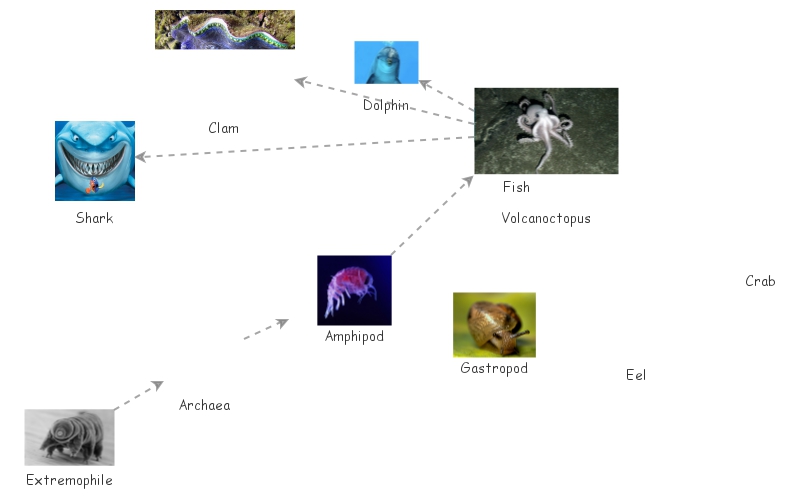 Science Food Web | Insight Maker