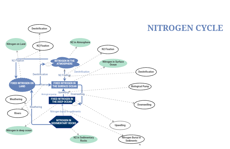 Nitrogen Cycle (Nalian, Aryen Lara V.) | Insight Maker