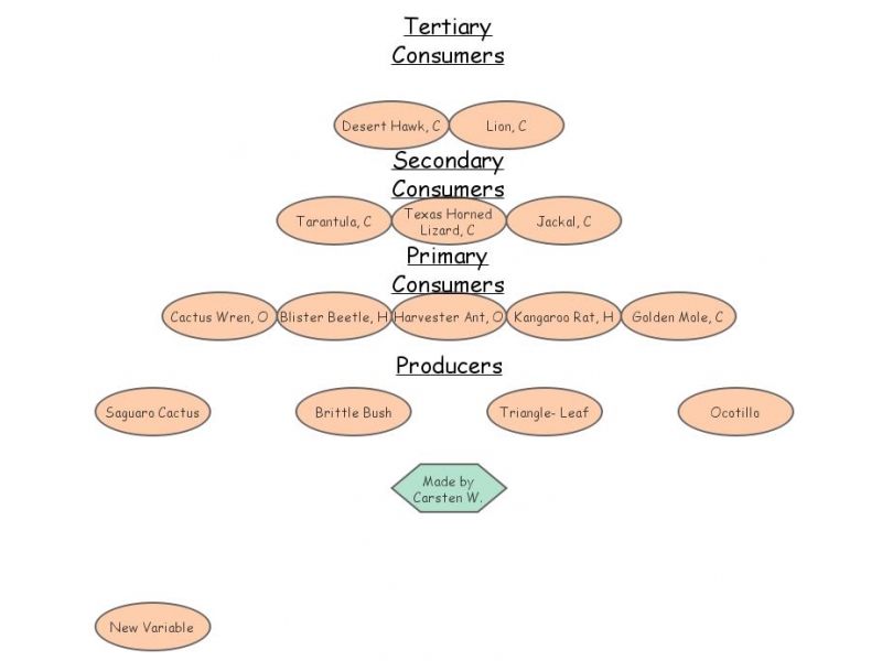 Ecological Pyramid | Insight Maker