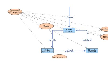 Terrestrial Nitrogen cycle model For Midterm | Insight Maker