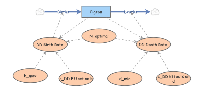 Feb 6 Pigeon Allee Effect | Insight Maker