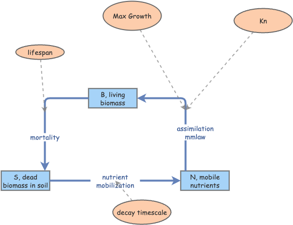 Terrestrial N cycle model California Redwood | Insight Maker