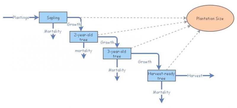 Plantation Practice | Insight Maker