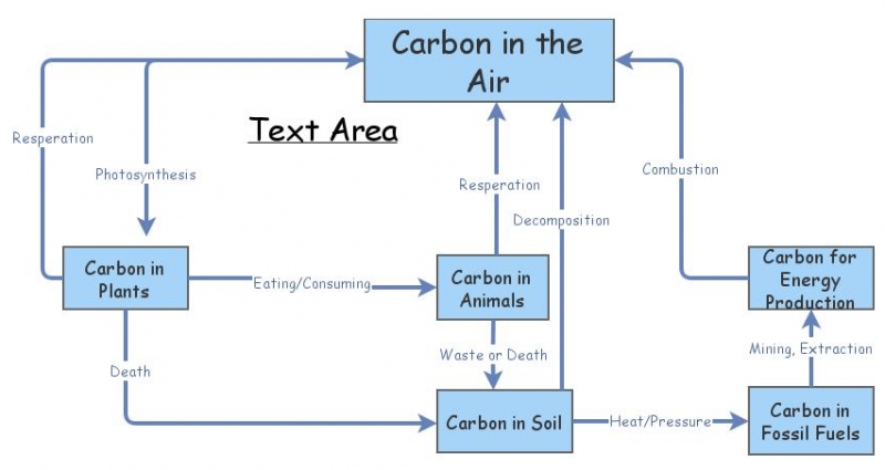 Carbon Cycle | Insight Maker