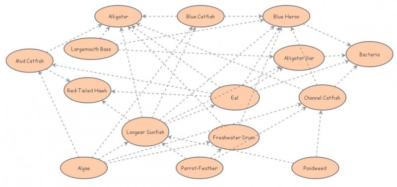 Buffalo Bayou Food Web | Insight Maker