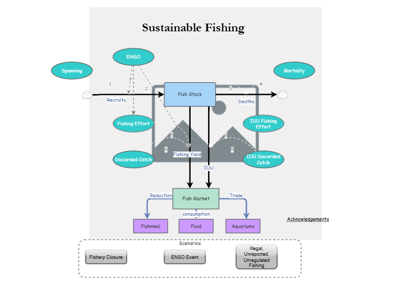 Clone of Clone of Stage 4 - Sustainable Fishing Model | Insight Maker