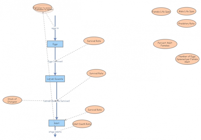 Sturgeon Model v4 | Insight Maker