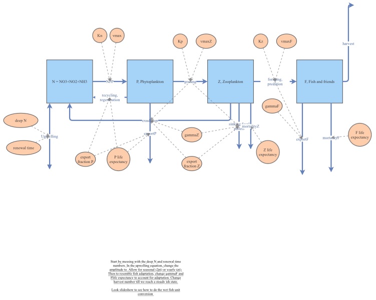 Clone of Marine NPZF model | Insight Maker