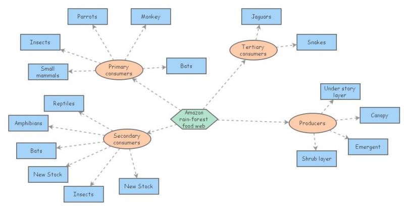 Amazon rain forest food web | Insight Maker