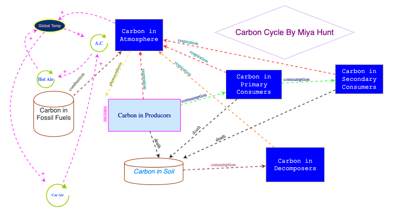 Carbon Cycle | Insight Maker