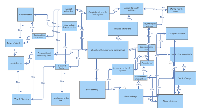 Ecological Public Health Practice Systems diagram Essay (Final ...
